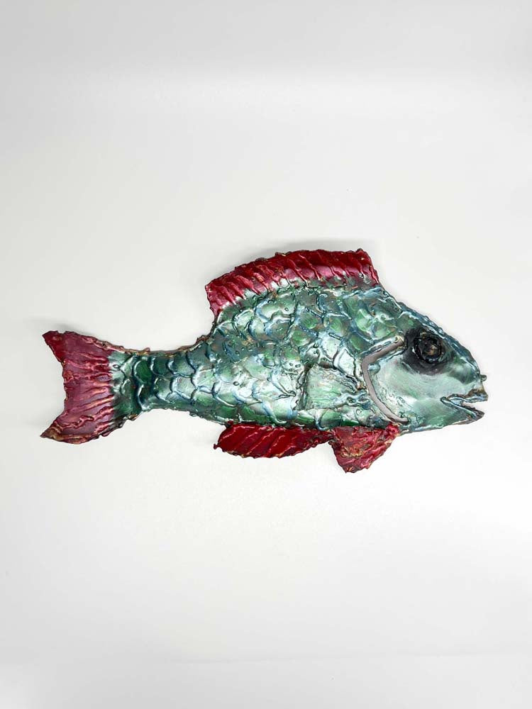 Red Band Parrotfish 2 – Fish Face