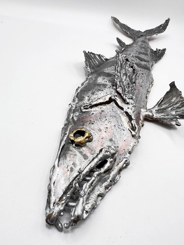 Barracuda – Fish Face