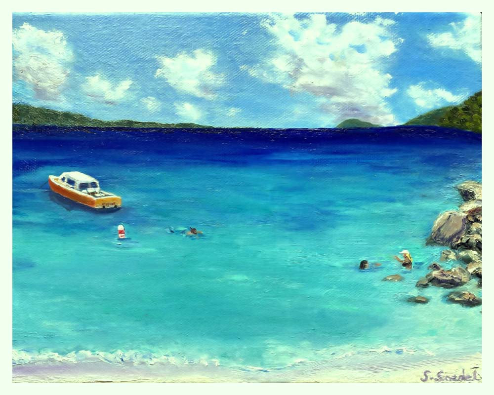 Magen's Bay Boat Outing Original – Fish Face