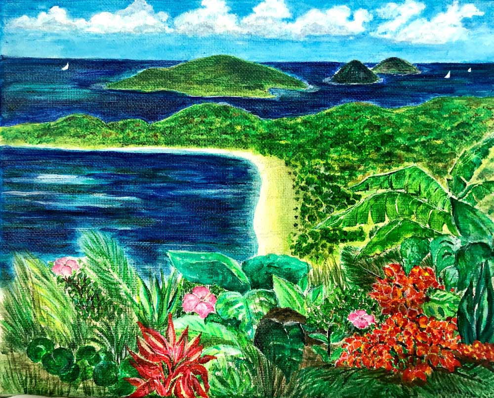 Magen's Bay – Fish Face