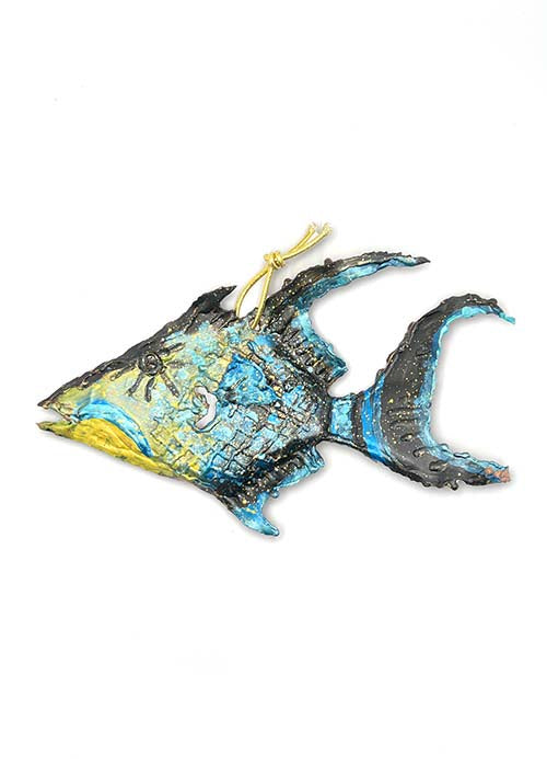 Queen Triggerfish – Fish Face