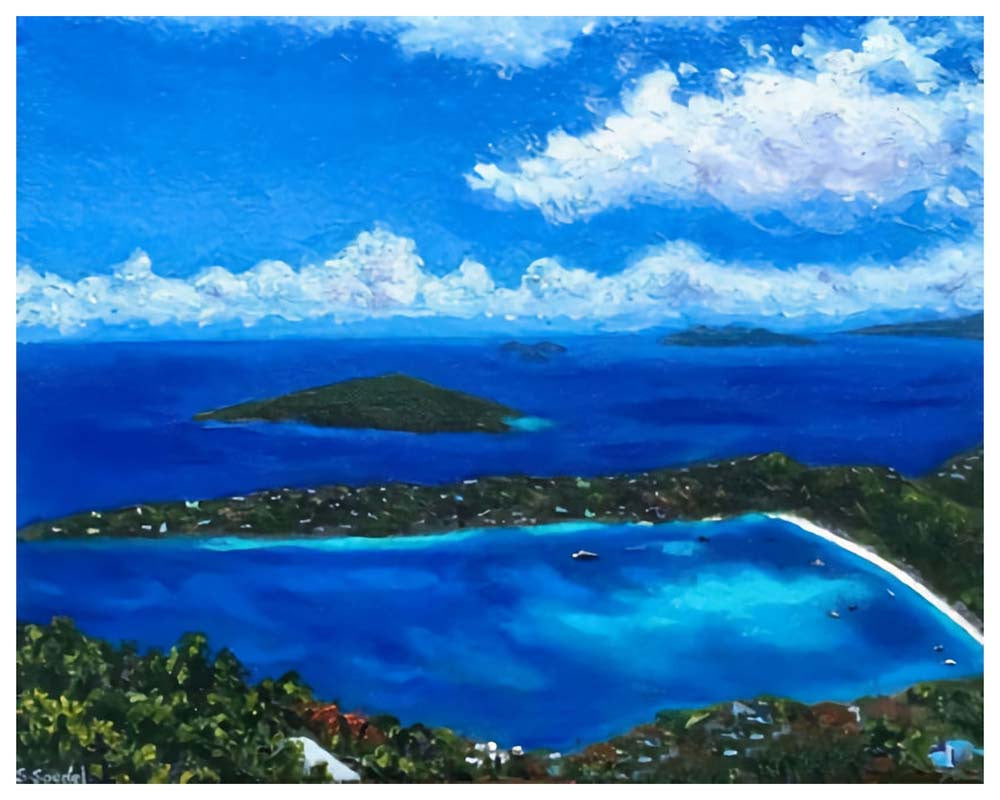 View From Mountaintop – Fish Face